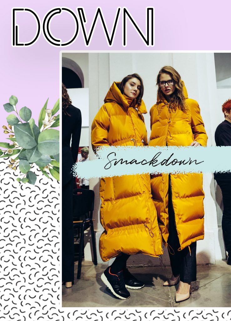 Down Smackdown: Responsible Down Standard (RDS) and Traceable Down ...